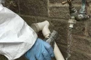 Microbiology | Visiontek Consultancy Services